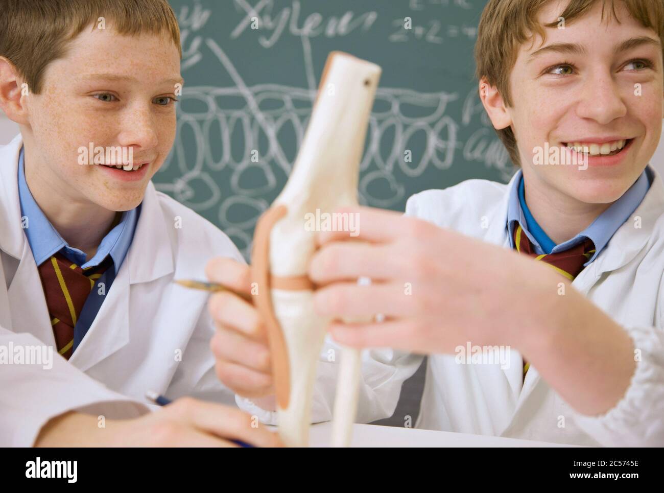 Happy junior high school boy students examining joint model in science ...