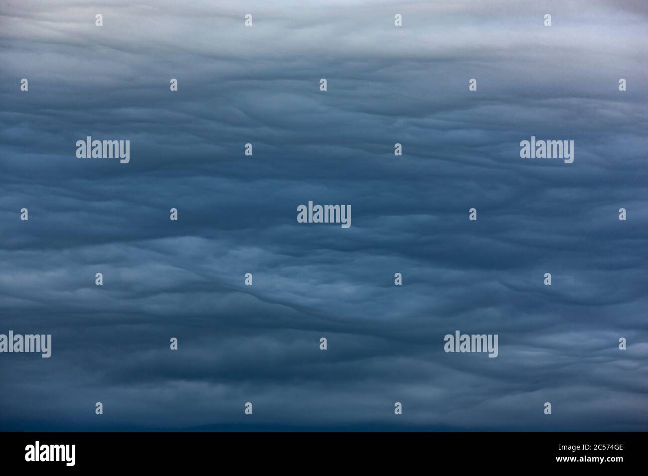 Grays report hi-res stock photography and images - Alamy