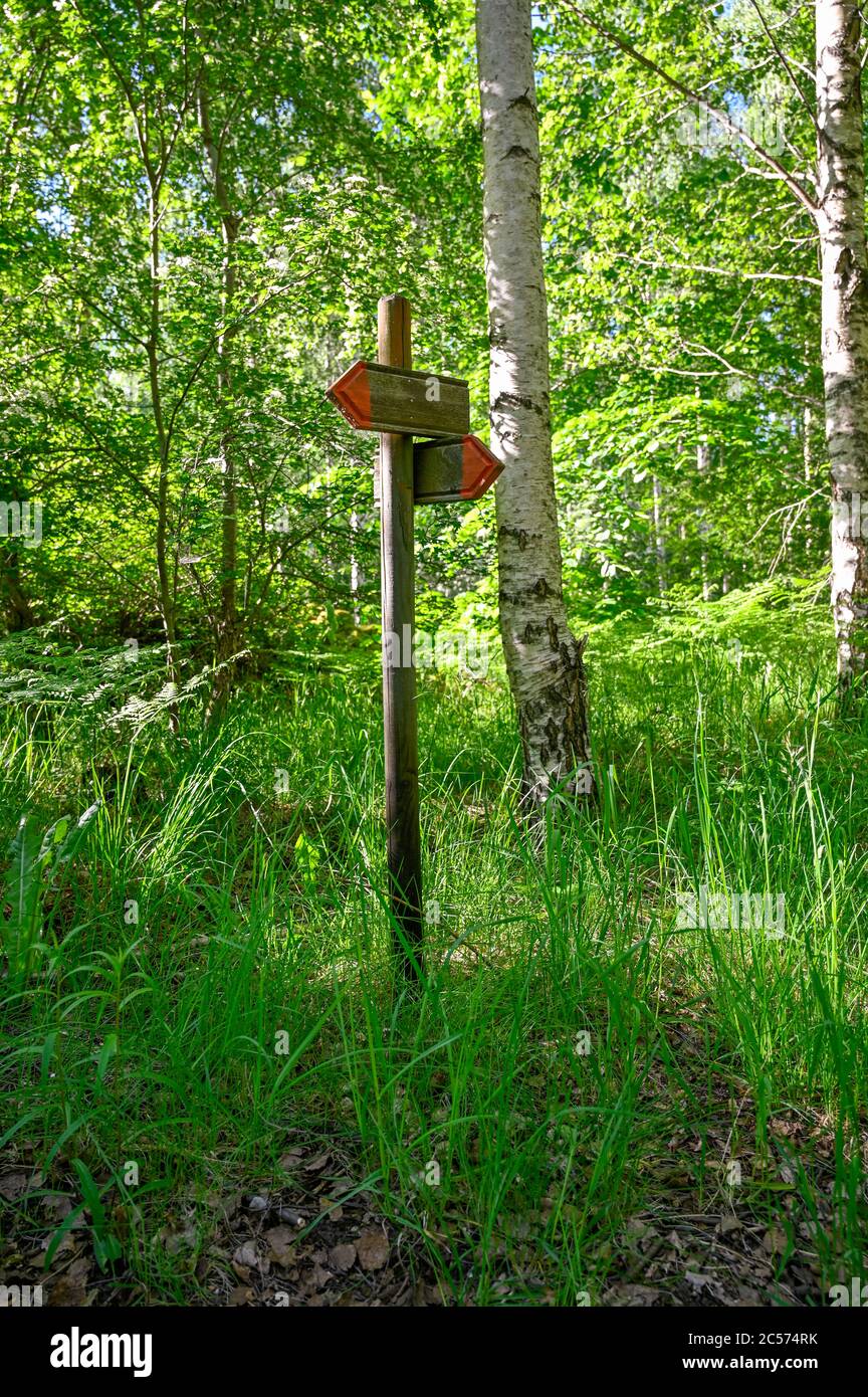 two orange arrows marking the way of a trail Stock Photo - Alamy