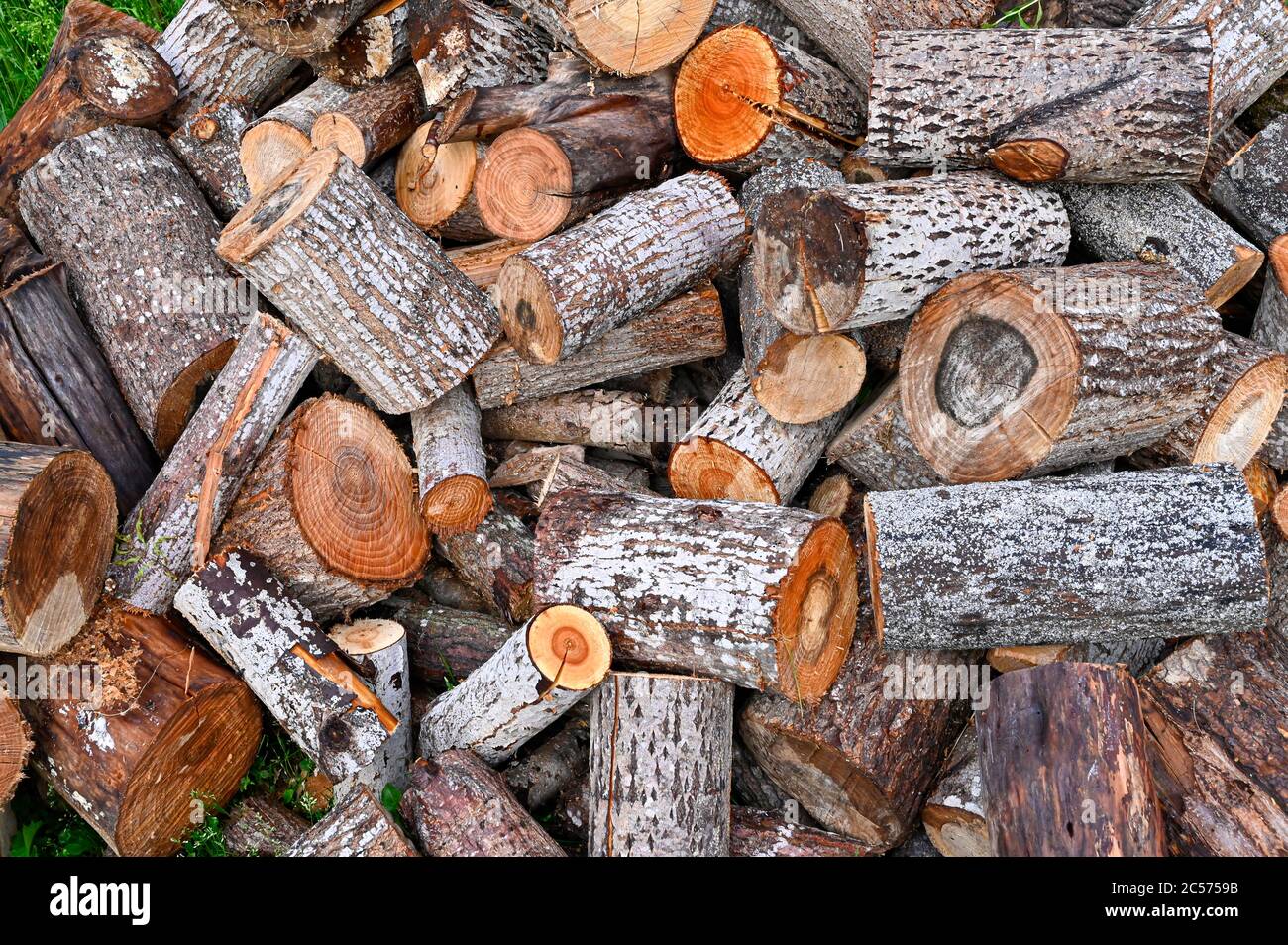pile of firewood in a garden in Sweden Stock Photo - Alamy