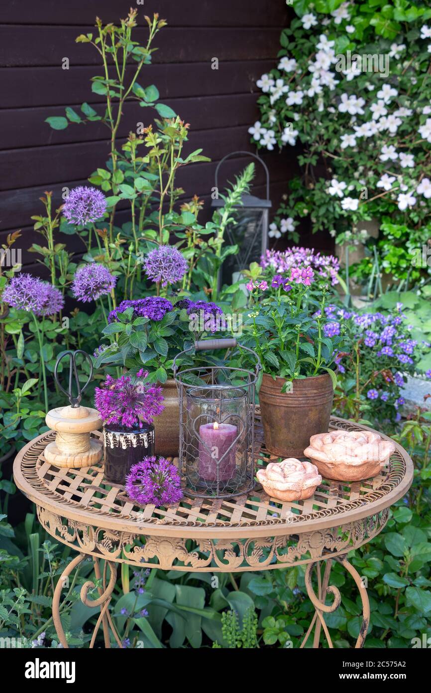 rustic garden decoration with flowers in purple and lantern Stock Photo ...