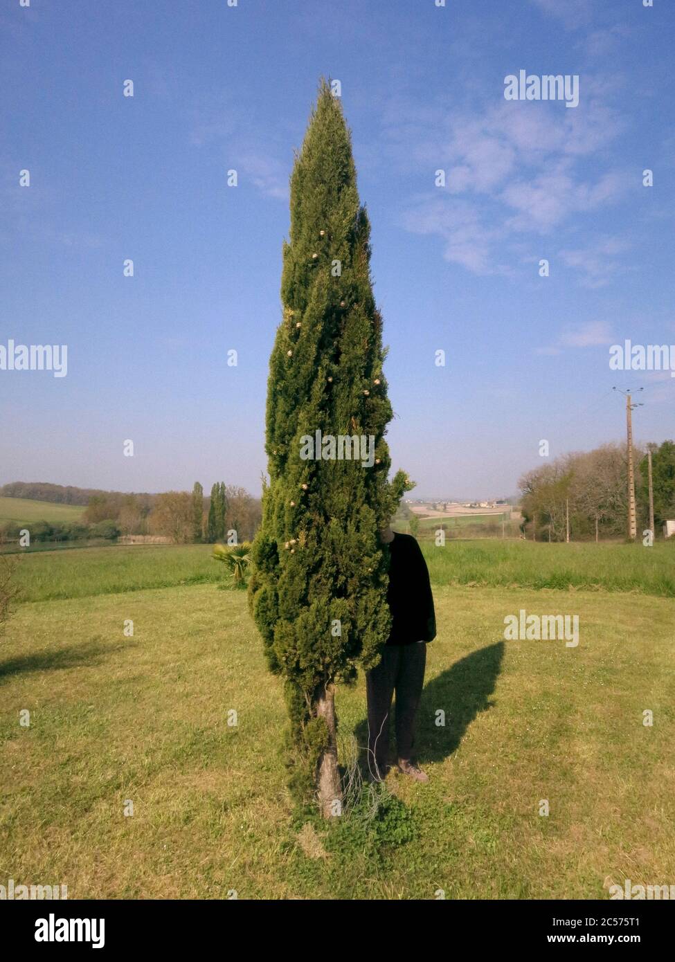 Woman hiding behind tree hi-res stock photography and images - Alamy Woman hiding behind tree hi-res stock photography and images - Alamy