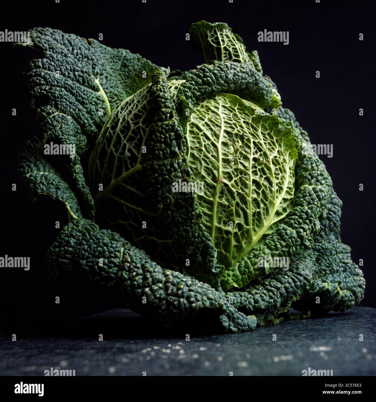 Square cabbage hi-res stock photography and images - Alamy