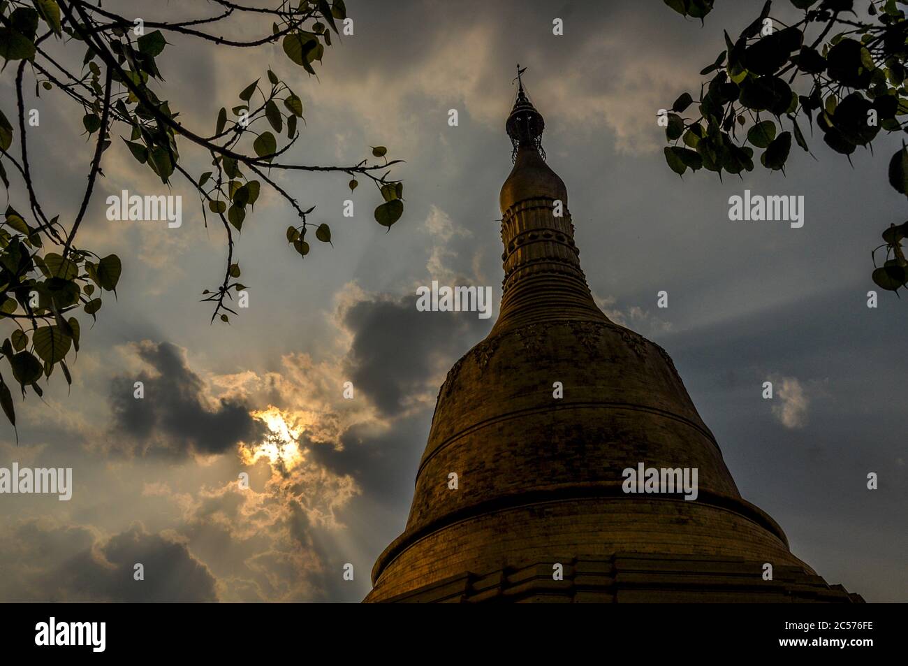 Buddhist temple in Thailand with ficus tree leaves (bodhi Tree Stock ...