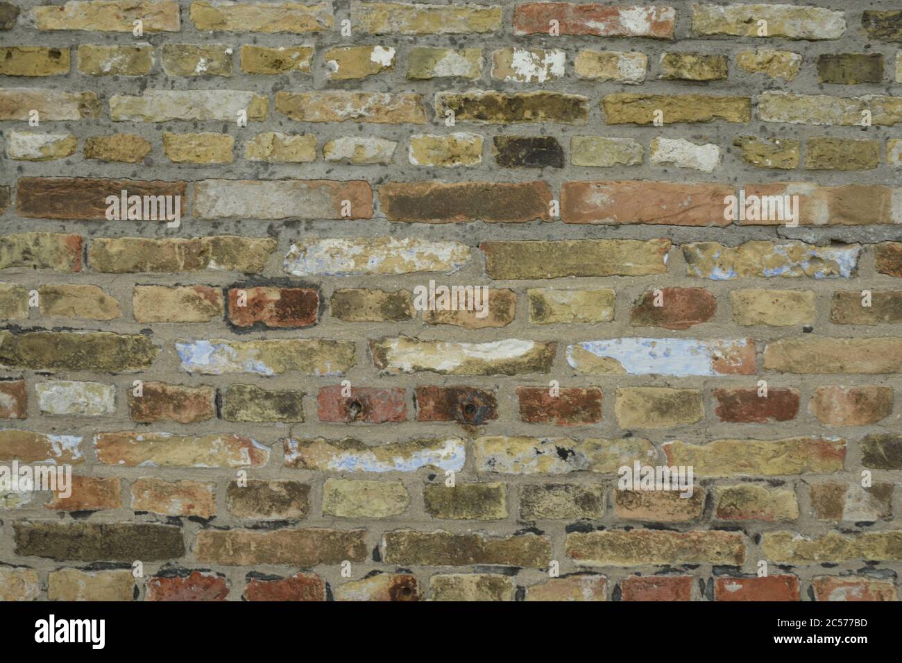Closeup shot of the concrete brick wall texture -perfect for background ...