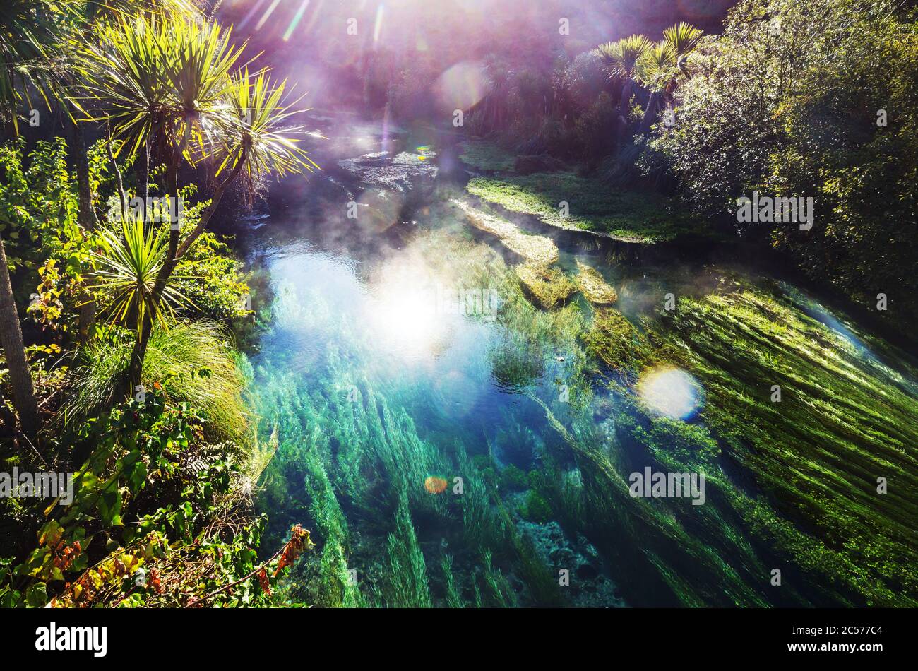 Unusual blue spring in New Zealand. Beautiful natural landscapes Stock ...