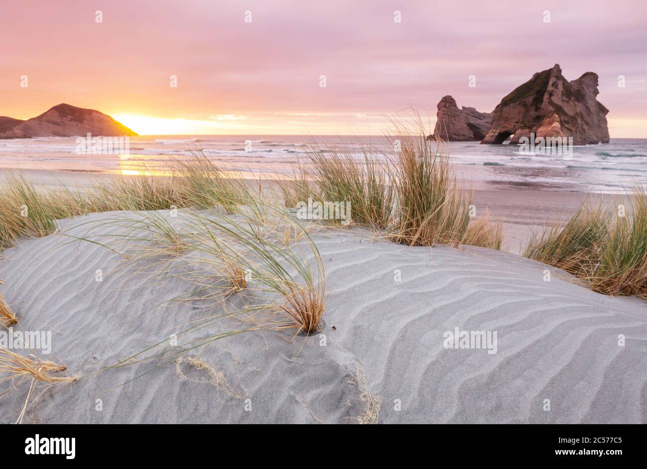 Sand dune at Pacific ocean beach, New Zealand Stock Photo - Alamy