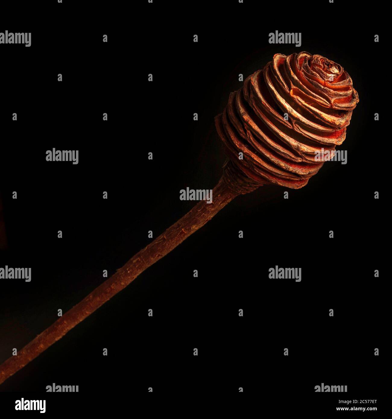 Botanic decoration hi-res stock photography and images - Alamy