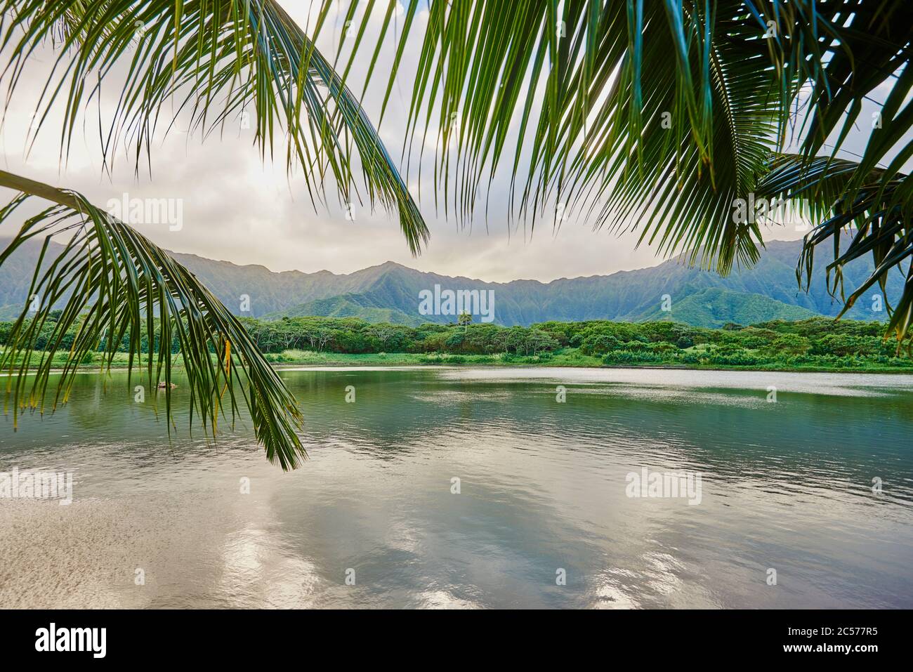 River at rainy season, Moli'i Pond at Kualoa Point, Hawaiian Island of ...