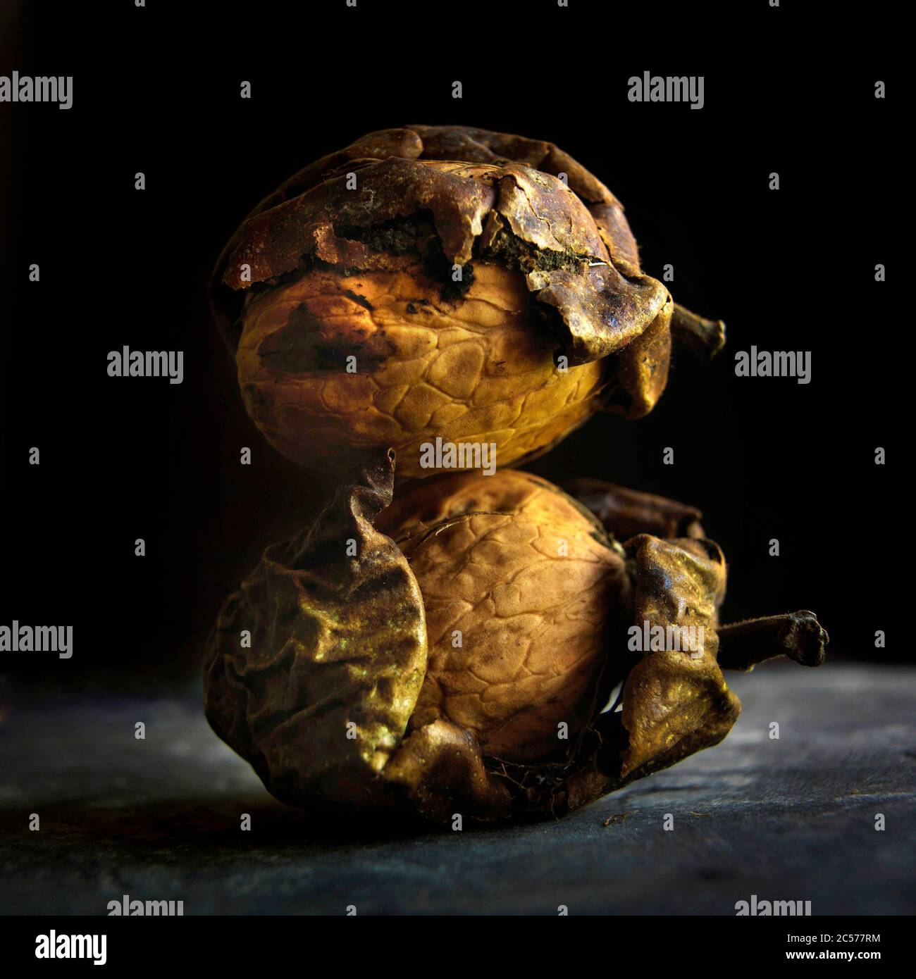 Black walnut fruit hi-res stock photography and images - Alamy