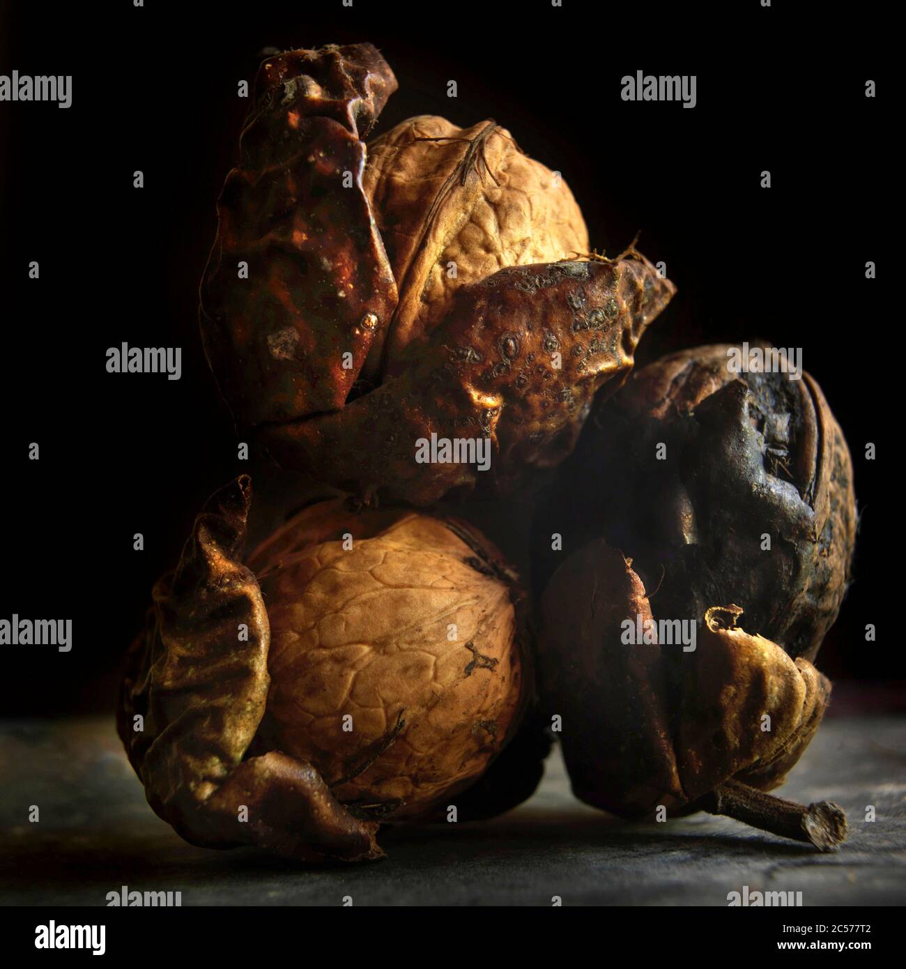 Black walnut fruit hi-res stock photography and images - Alamy