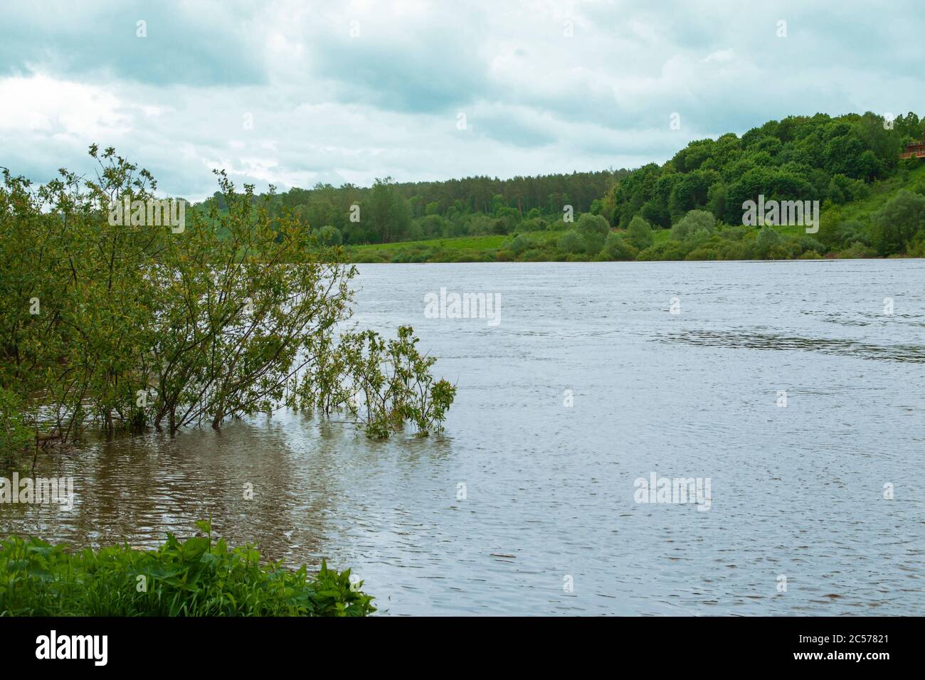 High water level in the river in summer Stock Photo - Alamy