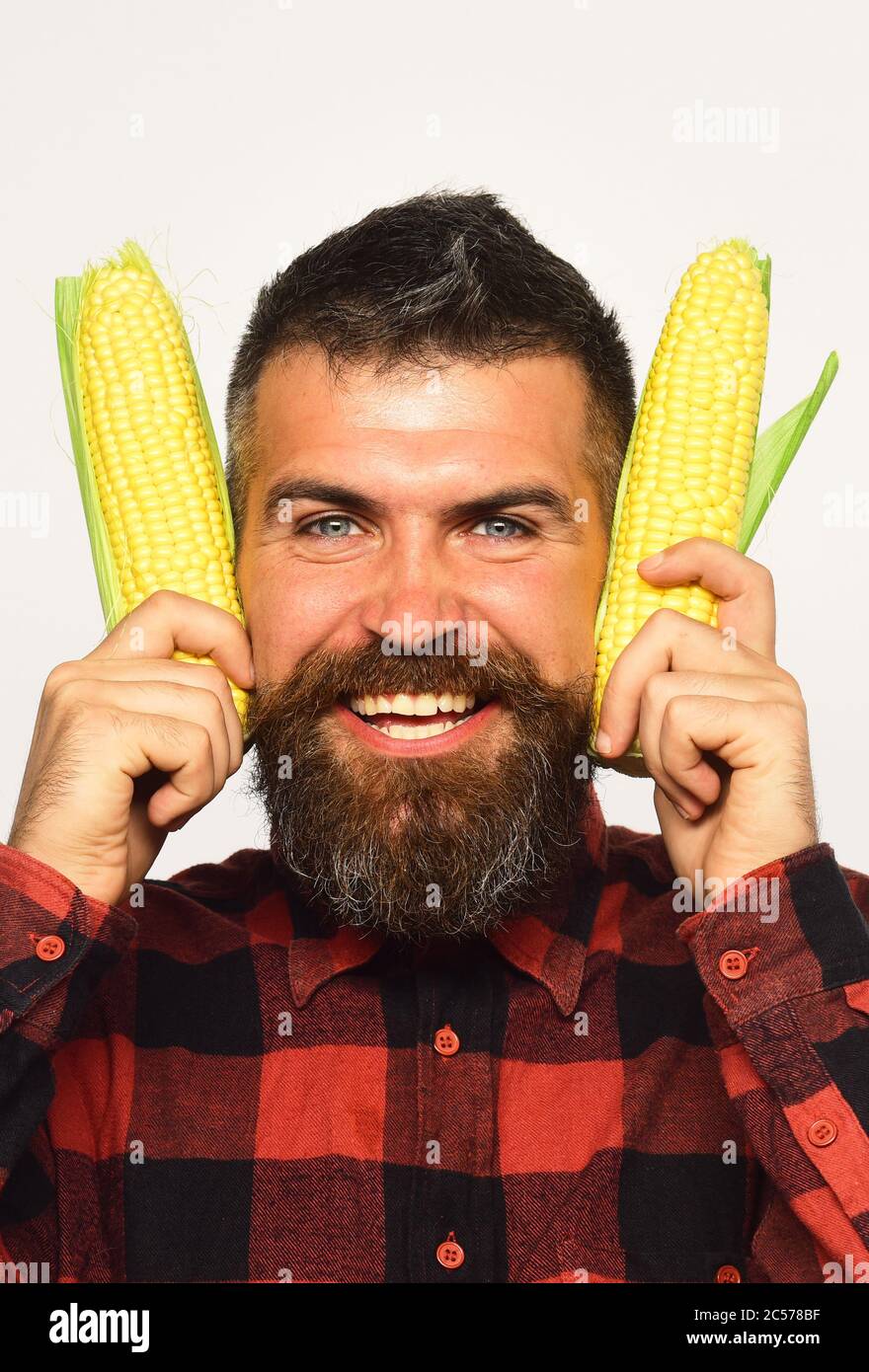 Man with beard holds ripe corn cobs near ears isolated on white ...