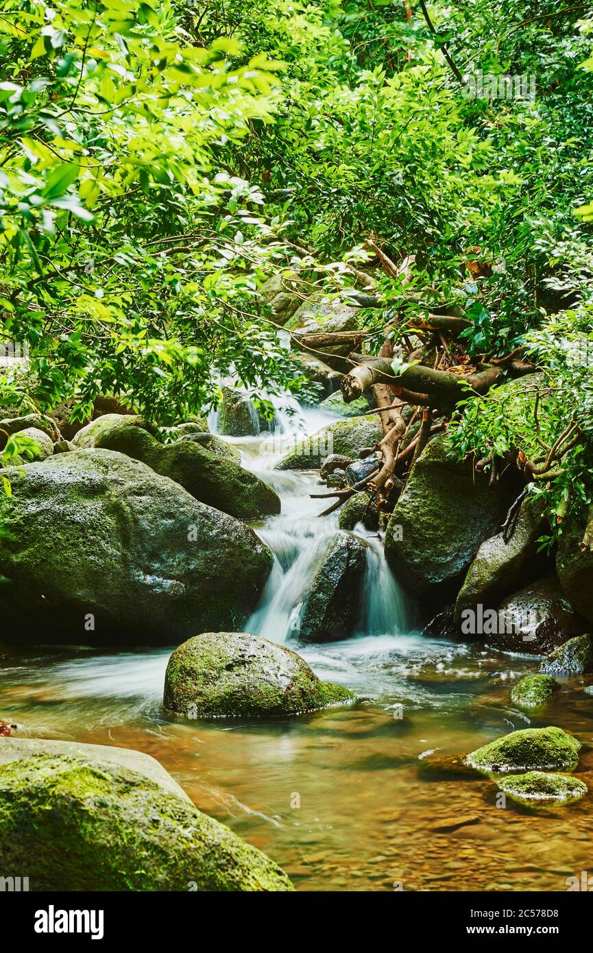 Lulumahu Falls in the Honolulu Watershed Forest Reserve, Hawaiian ...