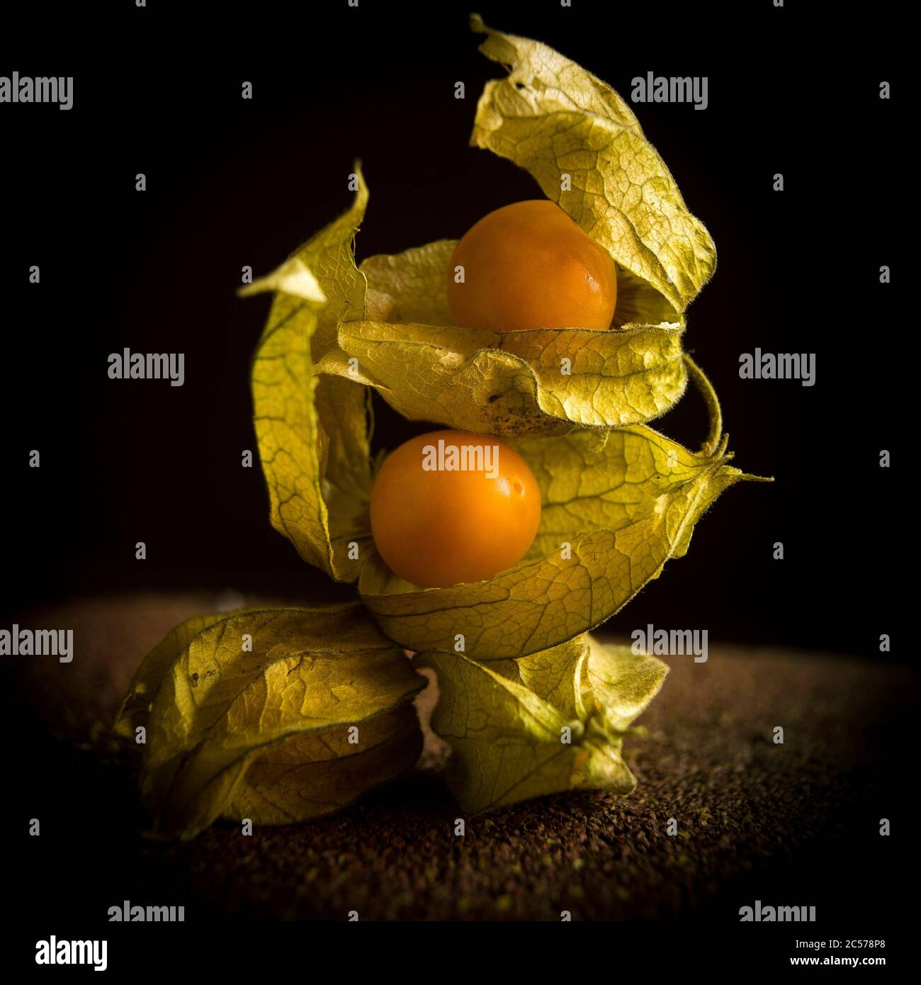 Black cherry leaves hi-res stock photography and images - Alamy