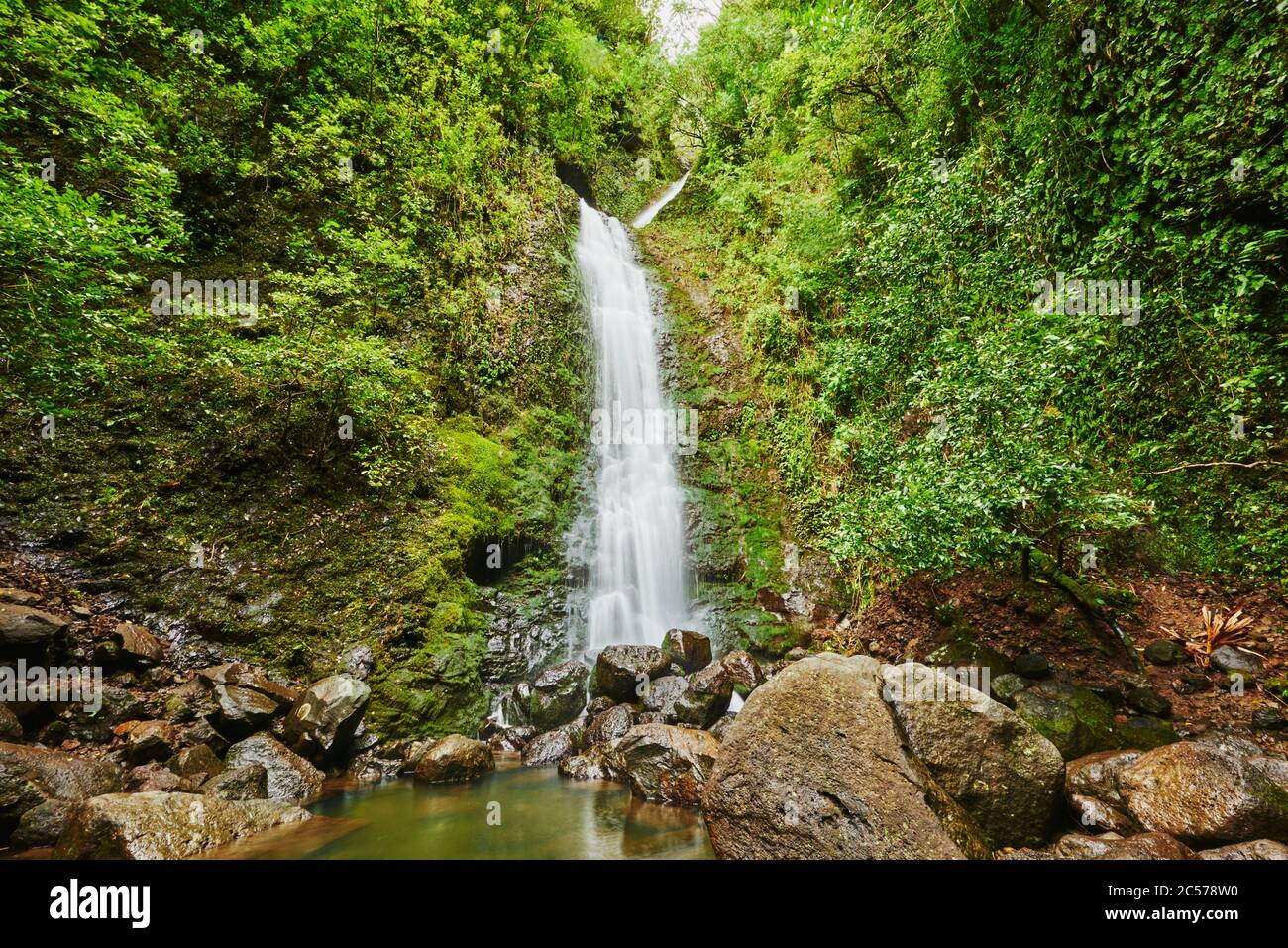 Lulumahu Falls in the Honolulu Watershed Forest Reserve, Hawaiian ...
