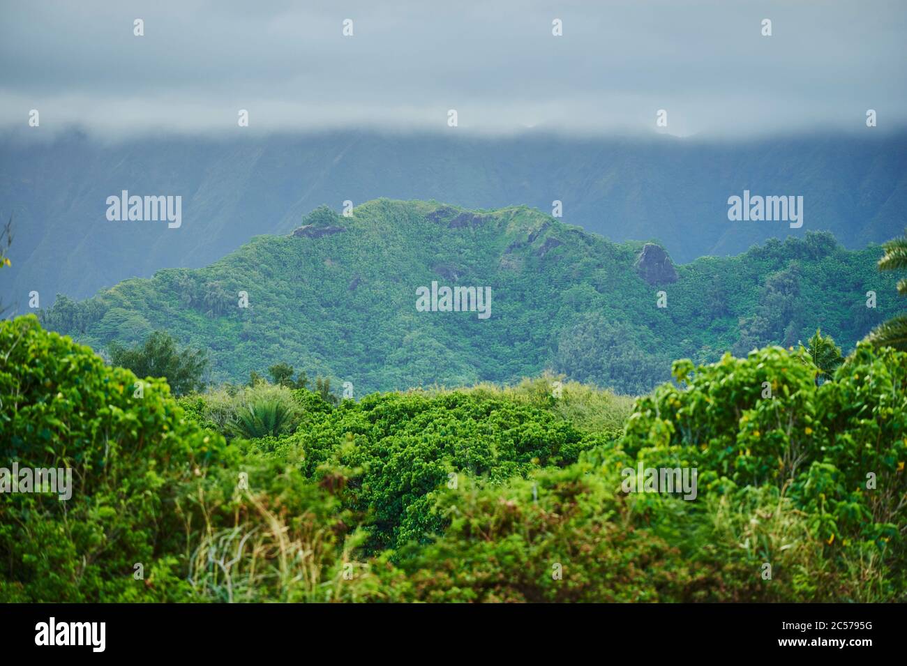 Landscape from Kualoa Point, Kualoa Regional Park, Oahu Island, Oahu ...