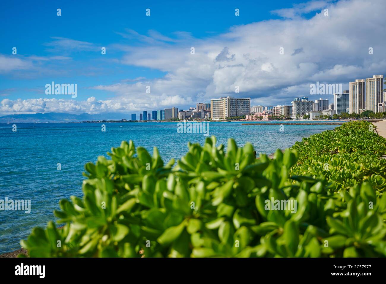 Landscape with tall buildings on the beach, Honolulu, Hawaiian Island ...