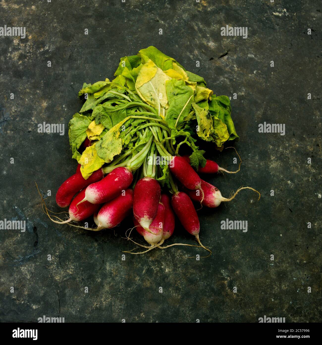 Close up background plant roots hi-res stock photography and images - Alamy