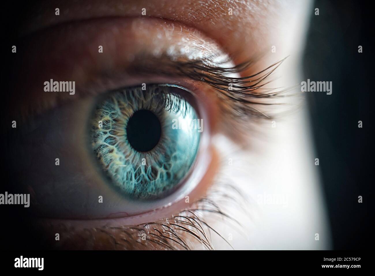 Macro photo of the woman's grey eye Stock Photo - Alamy