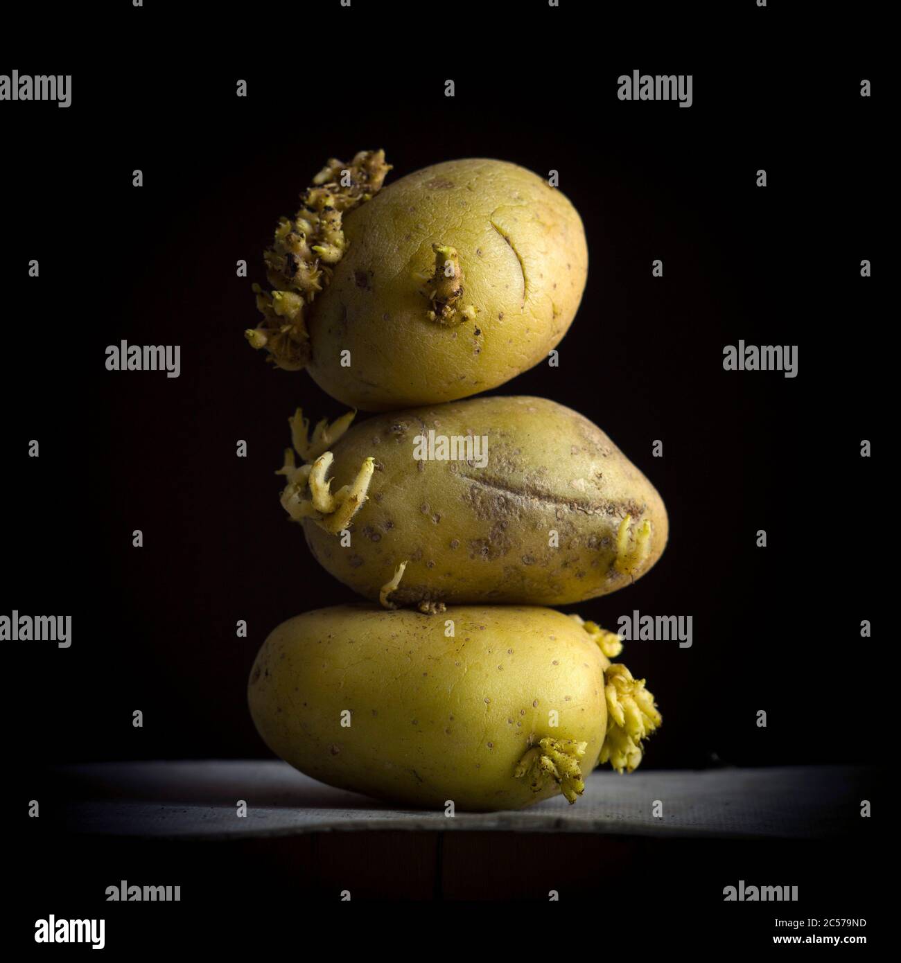 Germinating potatoes on a black background Stock Photo - Alamy