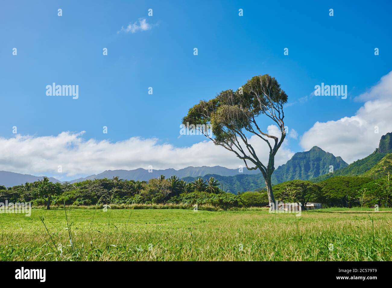 Landscape from Wai?hole Beach Park, Hawaiian Island of Oahu, Oahu ...
