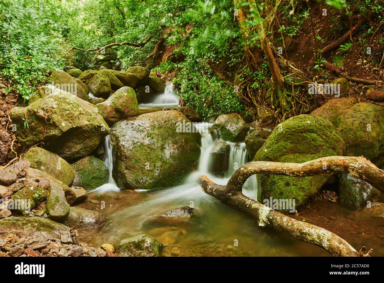 Lulumahu Falls in the Honolulu Watershed Forest Reserve, Hawaiian ...