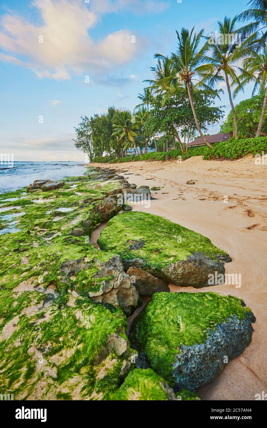 Sunset on the beach on Oahu, North Coast, Oahu Island, Oahu, Hawaii ...