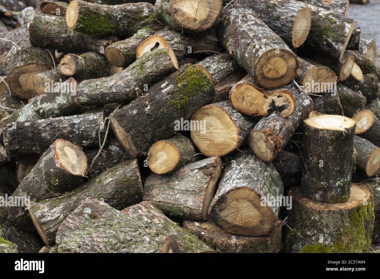 Bunch of wood logs Stock Photo - Alamy