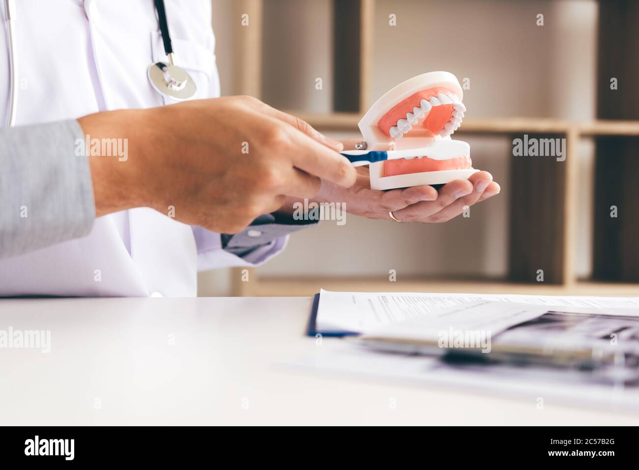 Asian man dentist is holding dentures jaw showing how to brush the ...