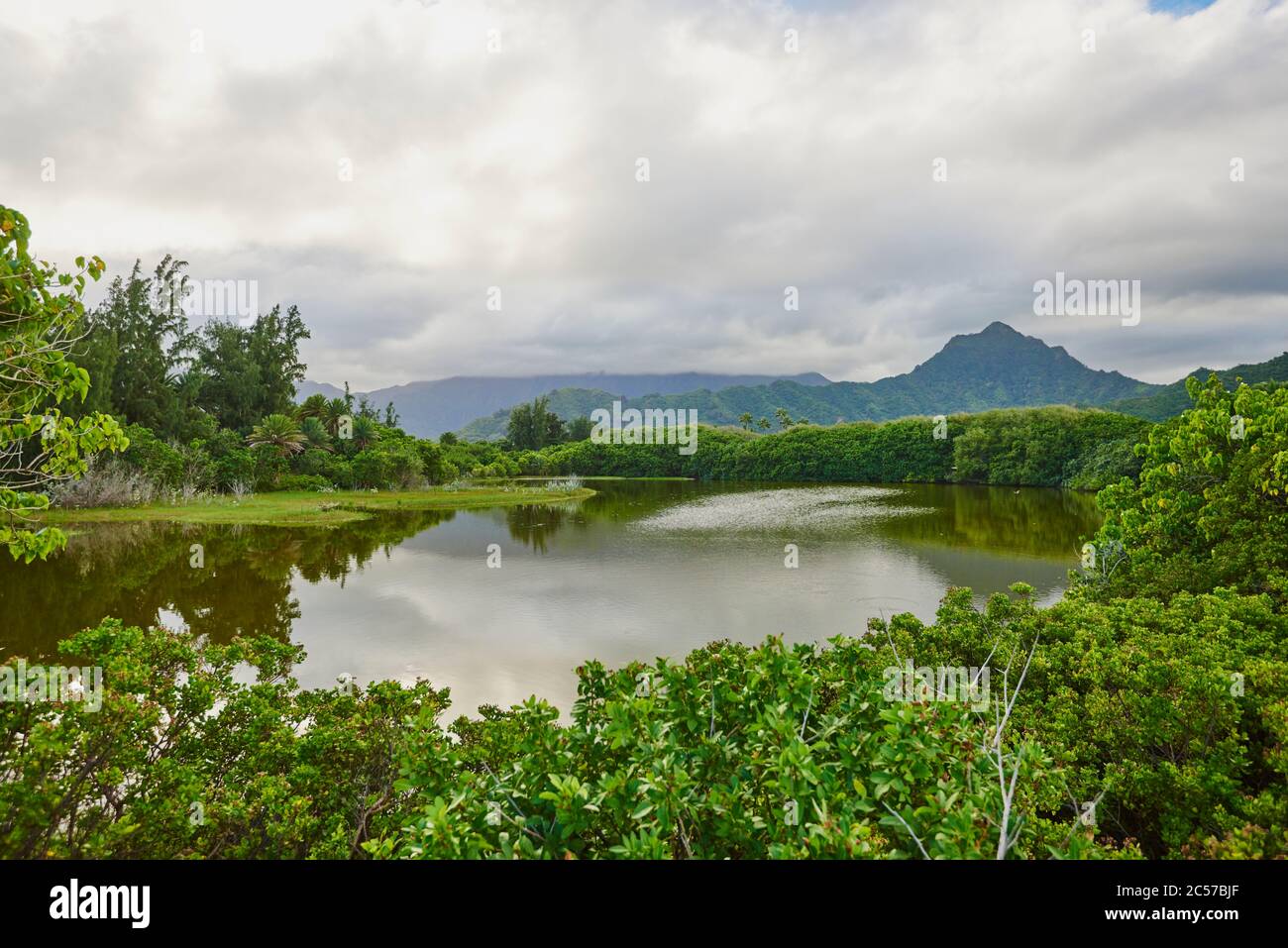 River at rainy season, Moli'i Pond at Kualoa Point, Hawaiian Island of ...