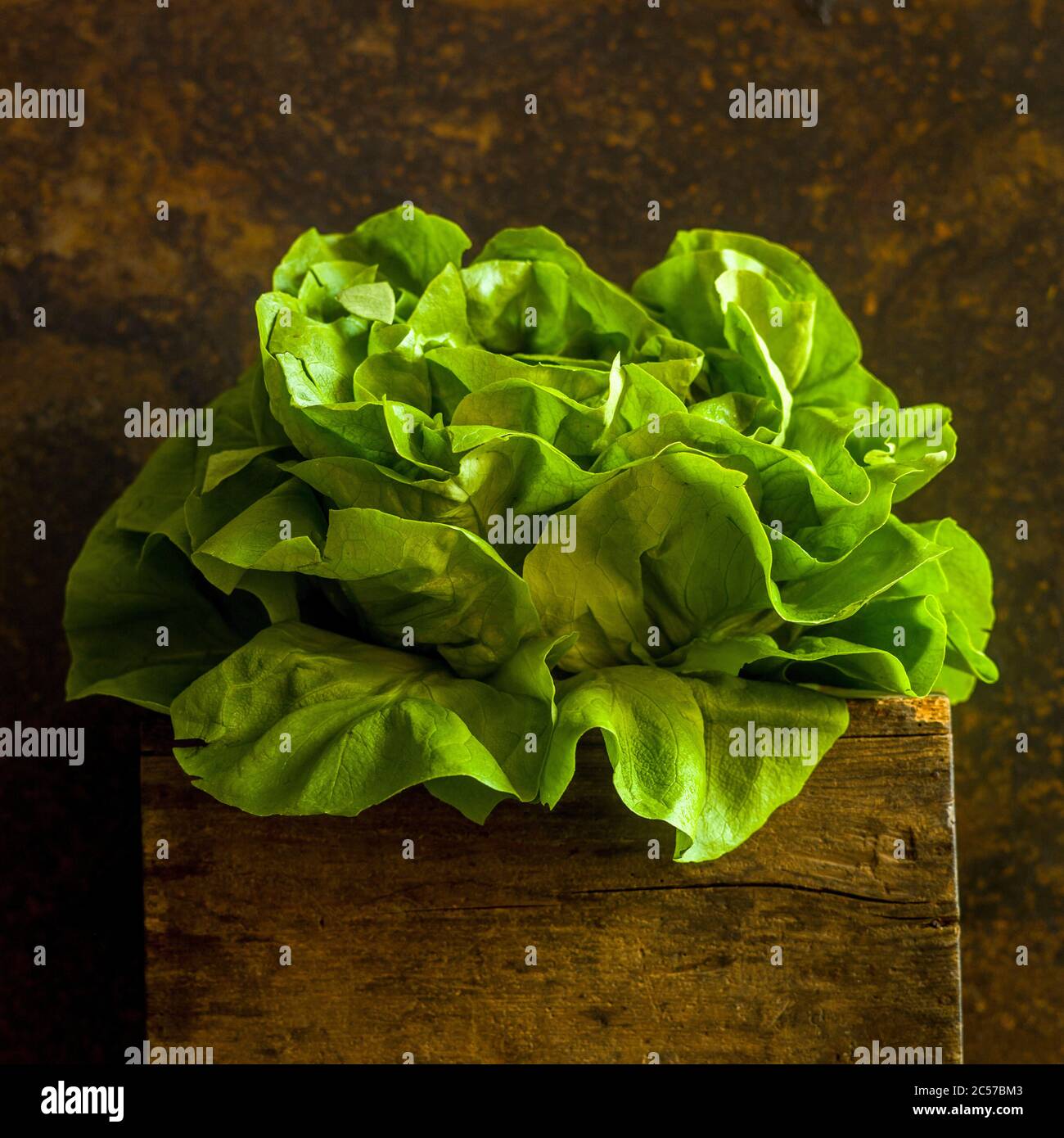 Lettuce still life crate hi-res stock photography and images - Alamy