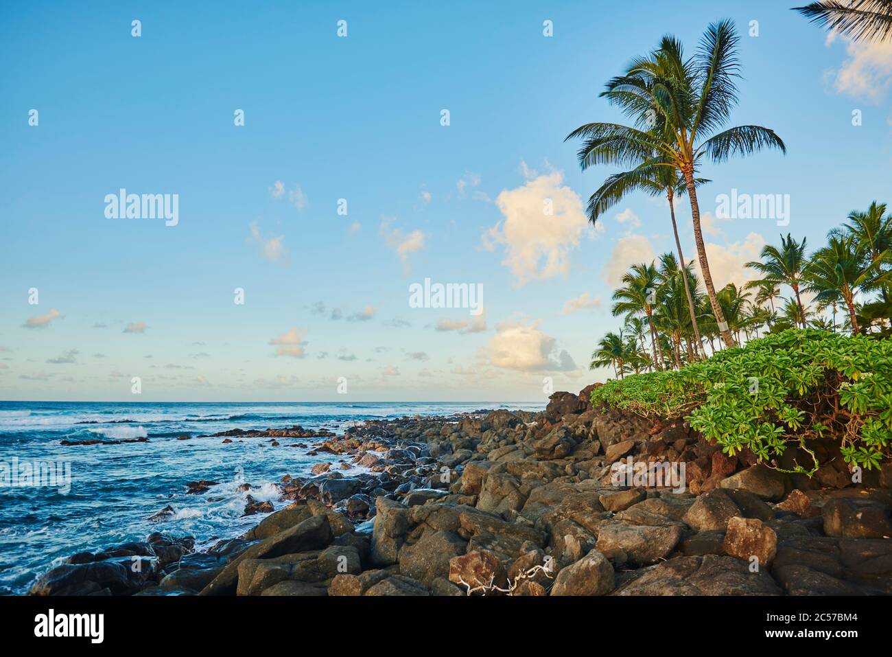 Aloha dream hi-res stock photography and images - Alamy