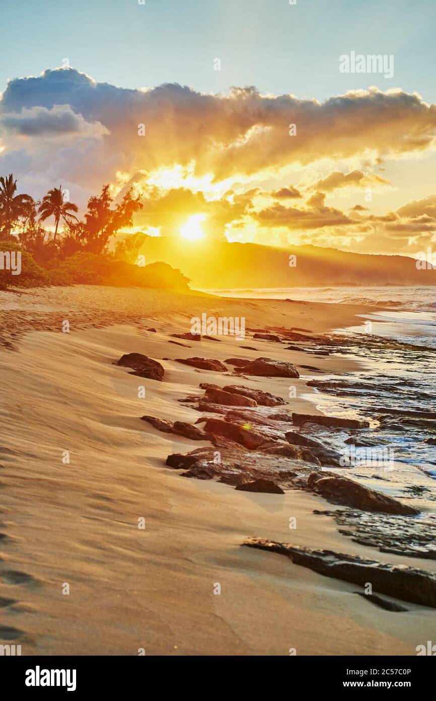 Coconut sanctuaries hi-res stock photography and images - Alamy