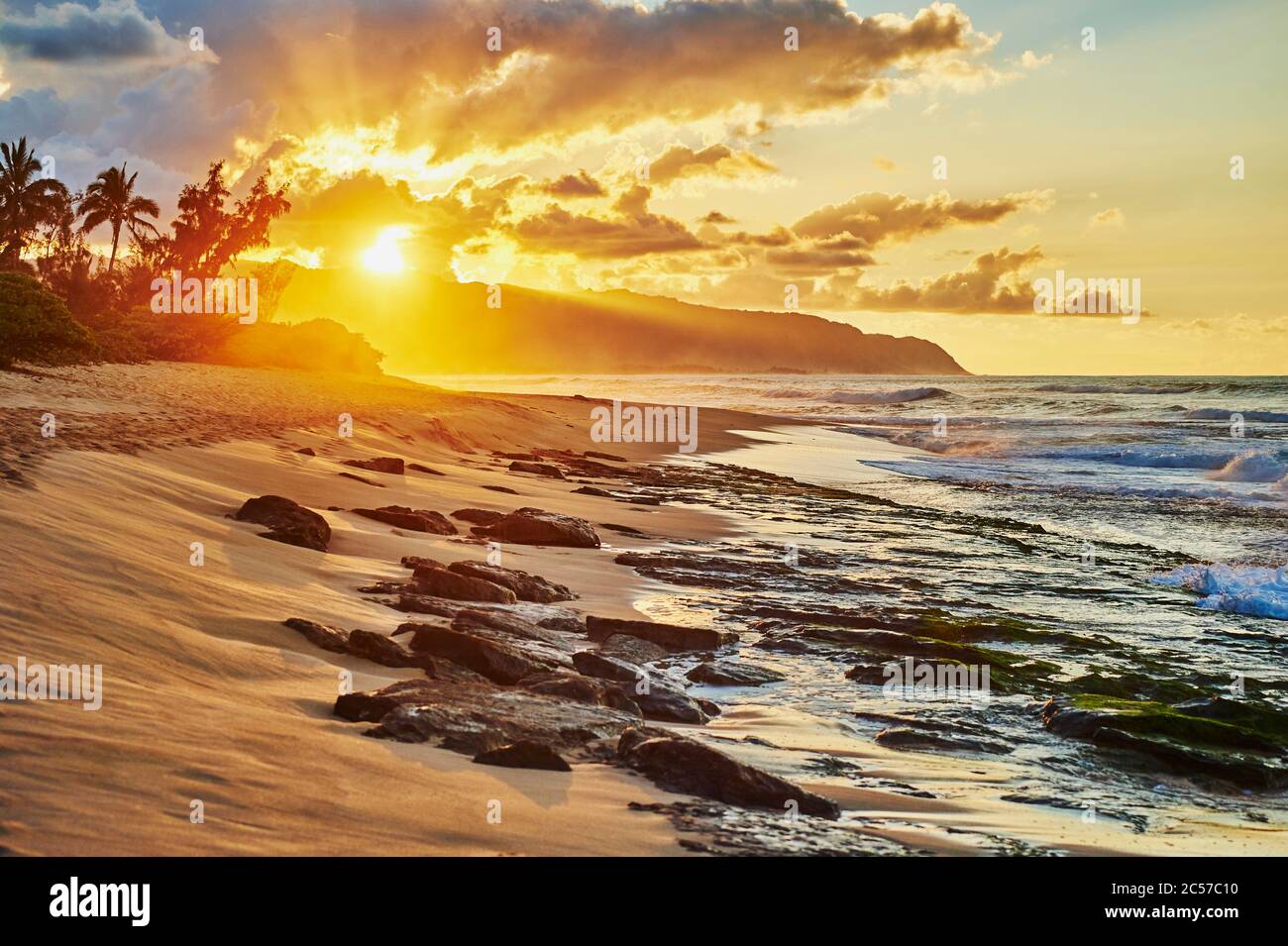 Coconut sanctuaries hi-res stock photography and images - Alamy