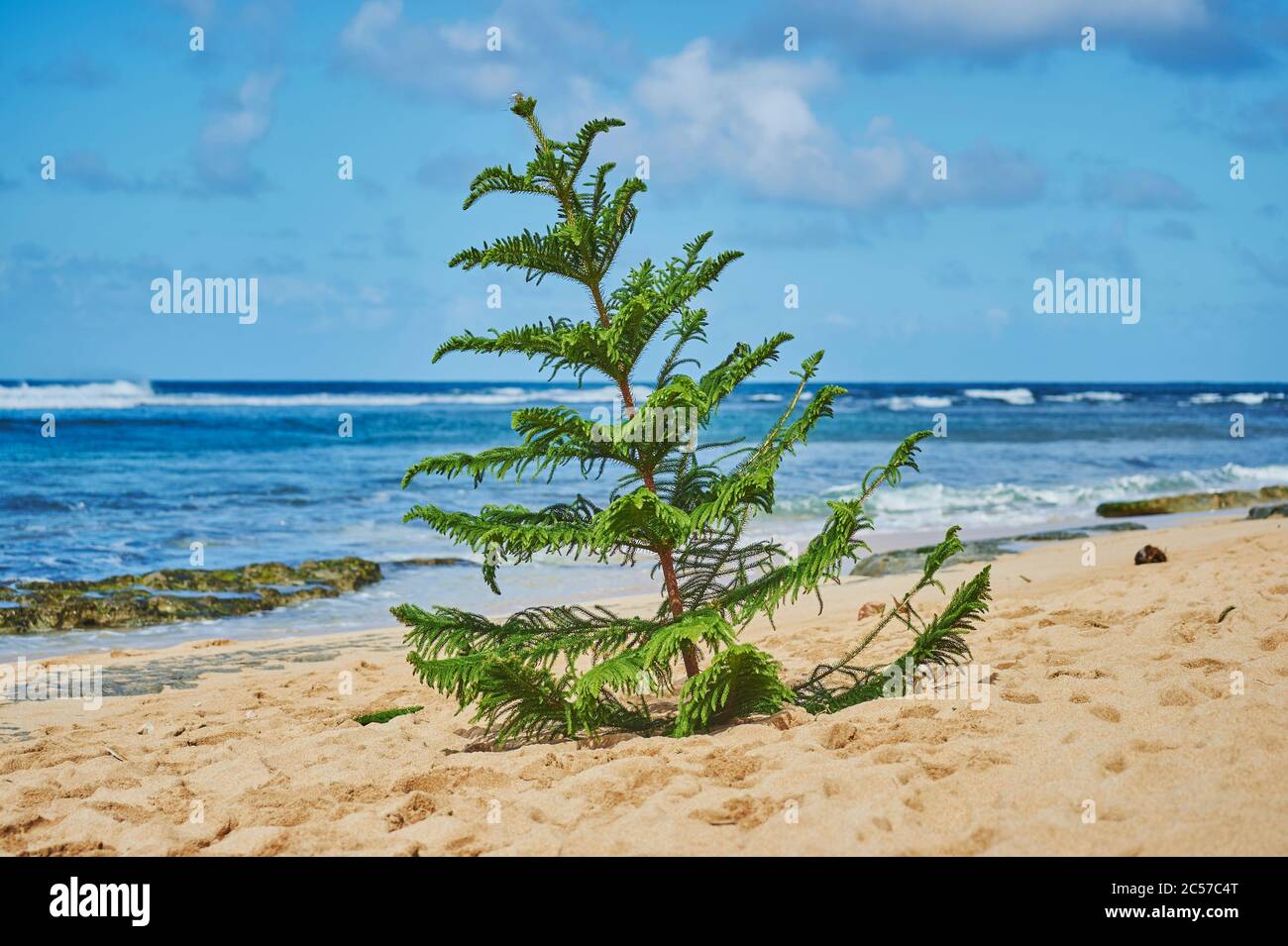 Volcano house hawaii hi-res stock photography and images - Alamy