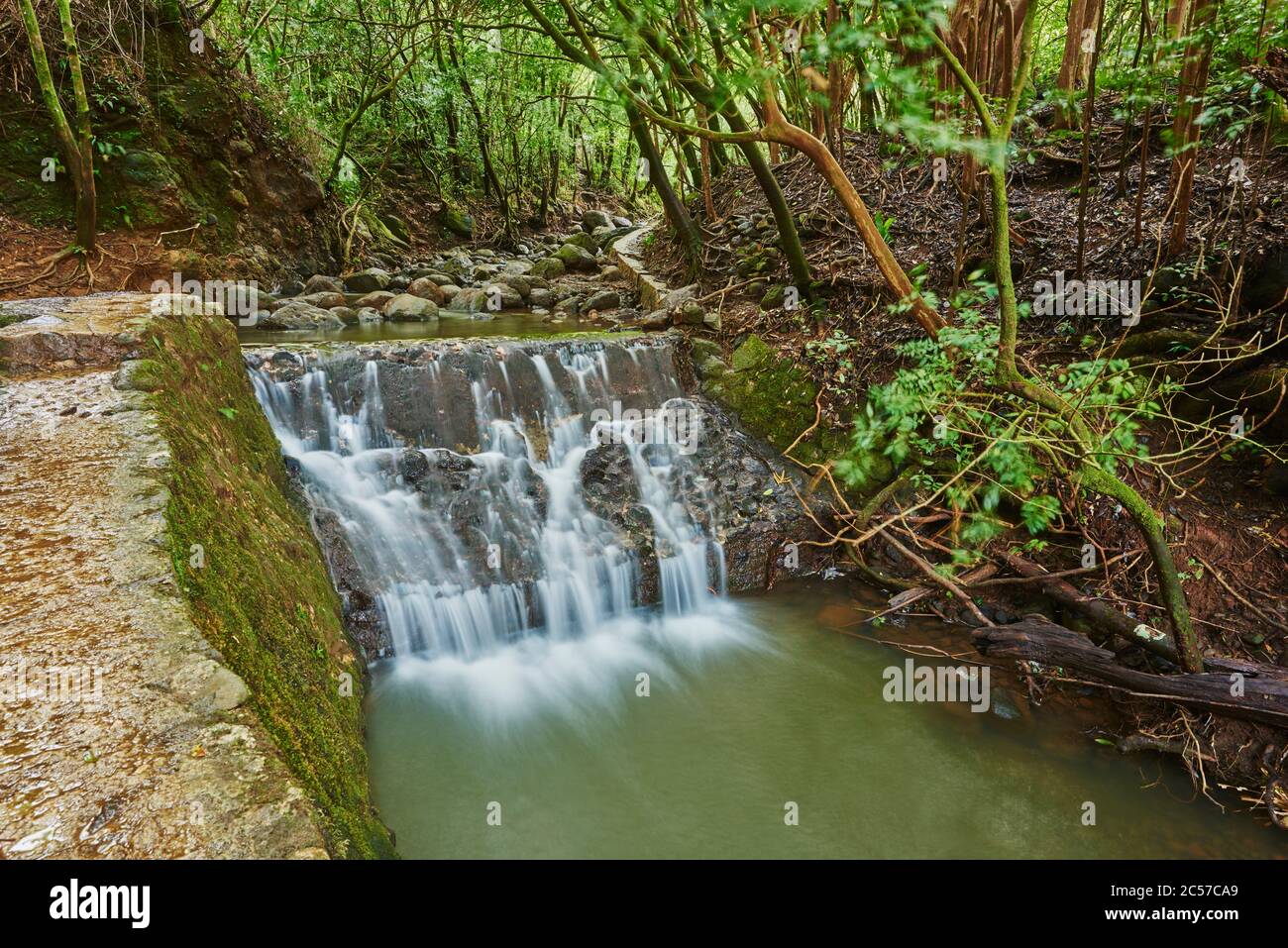 Lulumahu Falls in the Honolulu Watershed Forest Reserve, Hawaiian ...