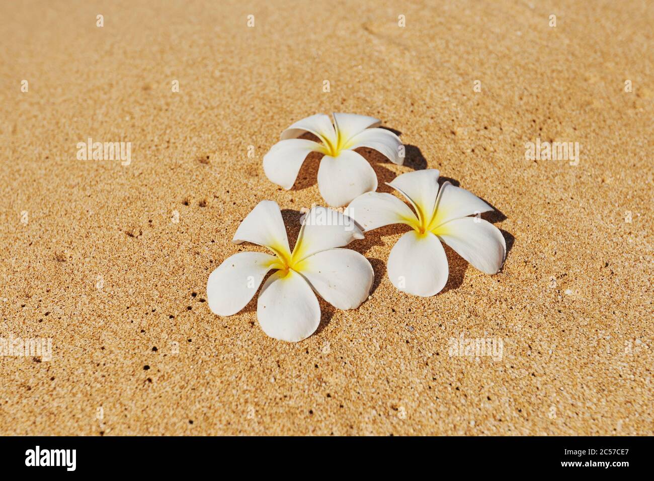 Hawaii temple god hi-res stock photography and images - Alamy