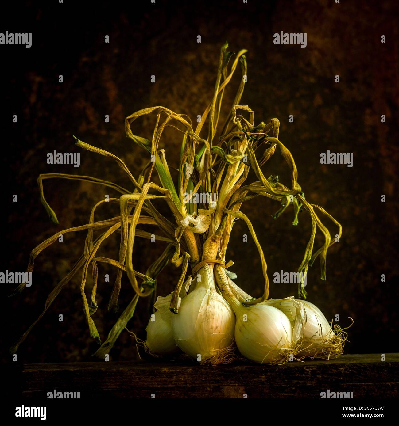 Allium cepa studio photography hi-res stock photography and images - Alamy