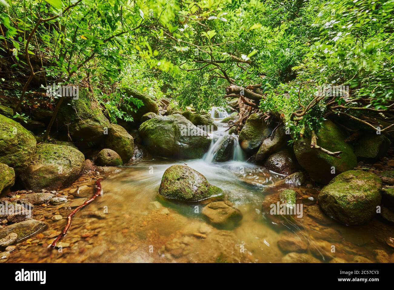 Lulumahu Falls in the Honolulu Watershed Forest Reserve, Hawaiian ...