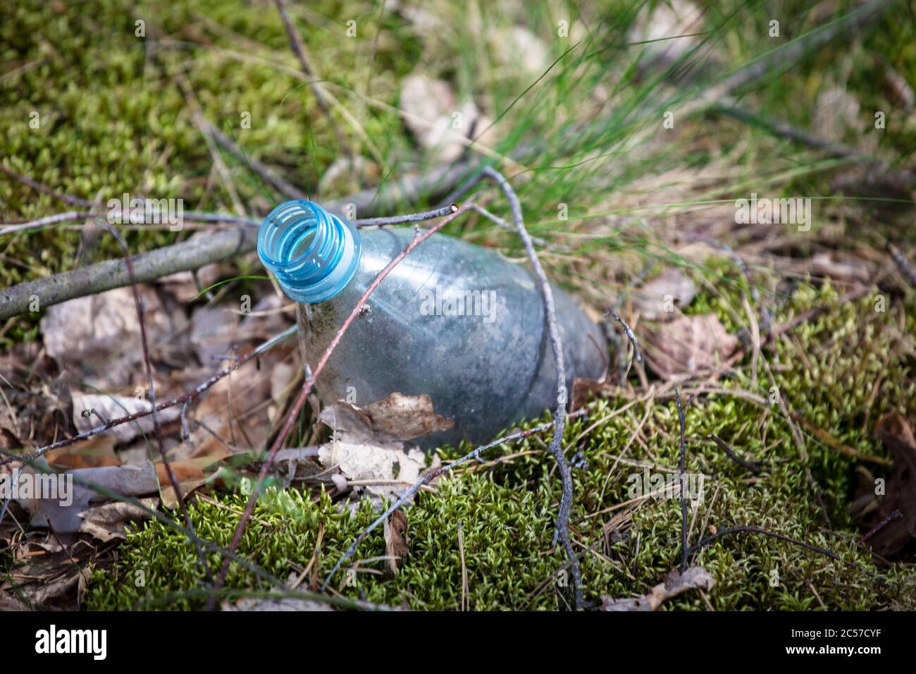 Pollution In Forest. Litter in the enviroment. Ecological contamination ...