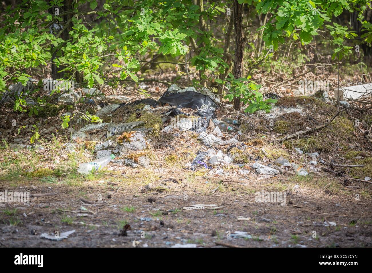 Pollution In Forest. Litter in the enviroment. Ecological contamination ...