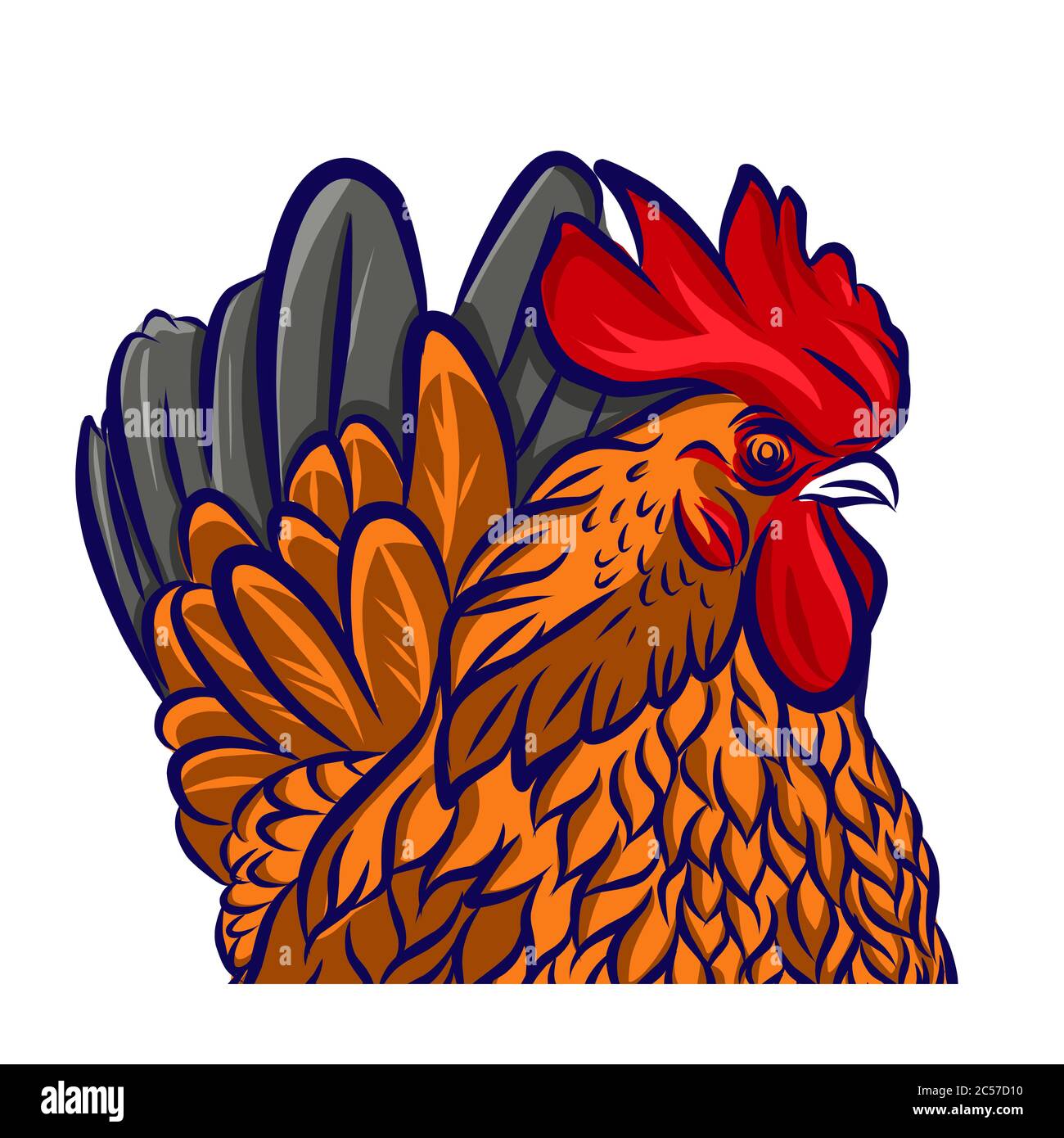 Colorful rooster vector illustration design. Best illustration design ...