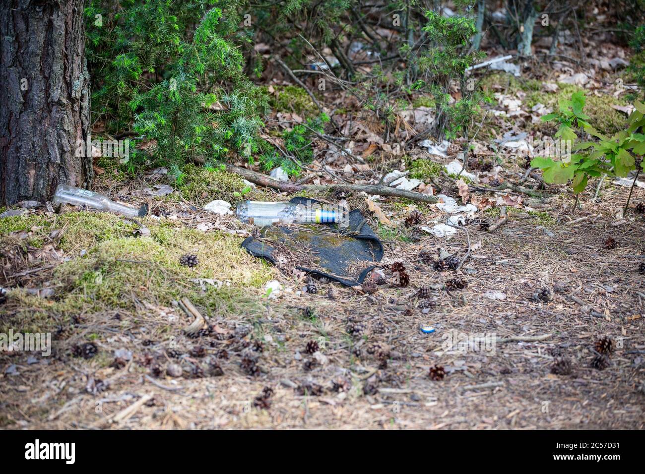 Litter in the forest hi-res stock photography and images - Alamy