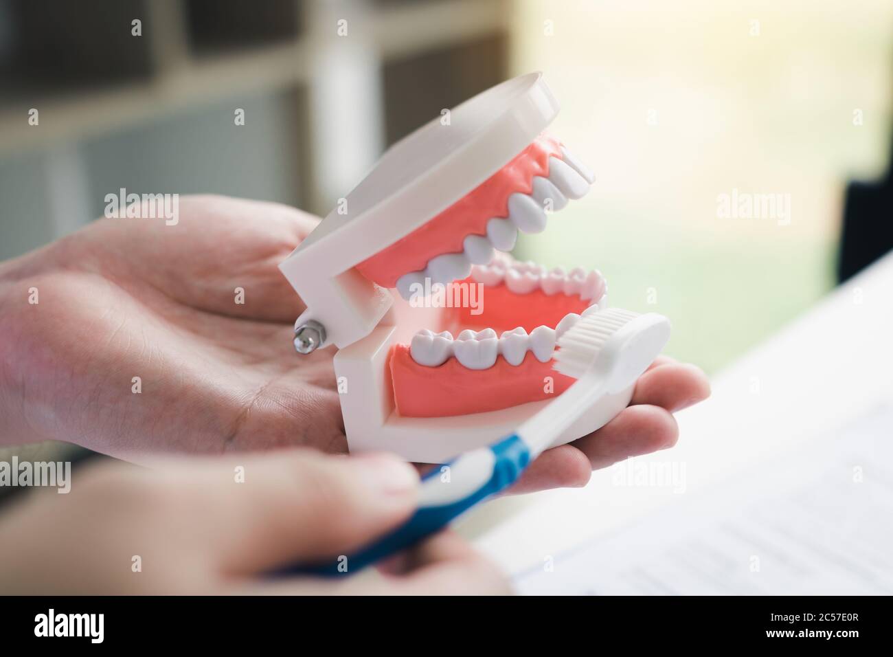 Close up hand dentists are demonstrating how to brush their teeth ...