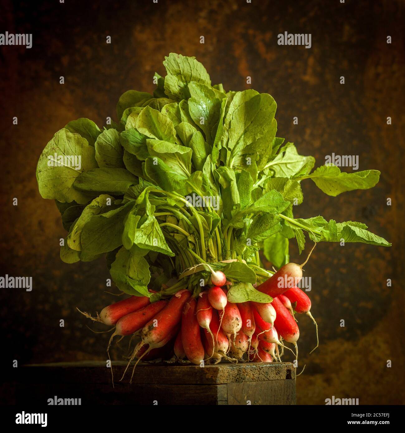 Close up background plant roots hi-res stock photography and images - Alamy