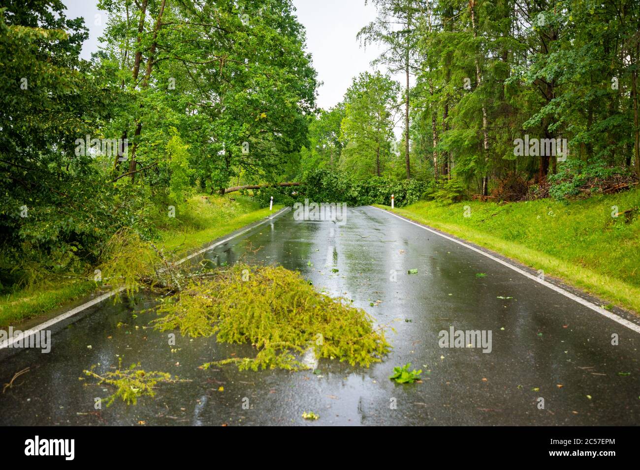 Tree down across road hi-res stock photography and images - Alamy