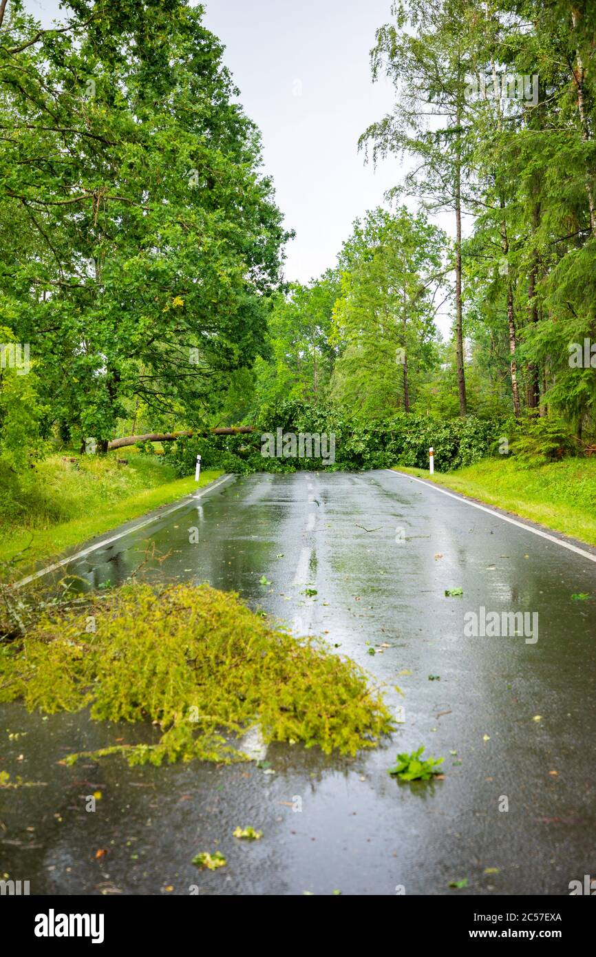Tree fallen across road hi-res stock photography and images - Alamy