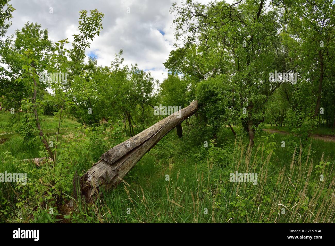 Broken ecosystem hi-res stock photography and images - Alamy