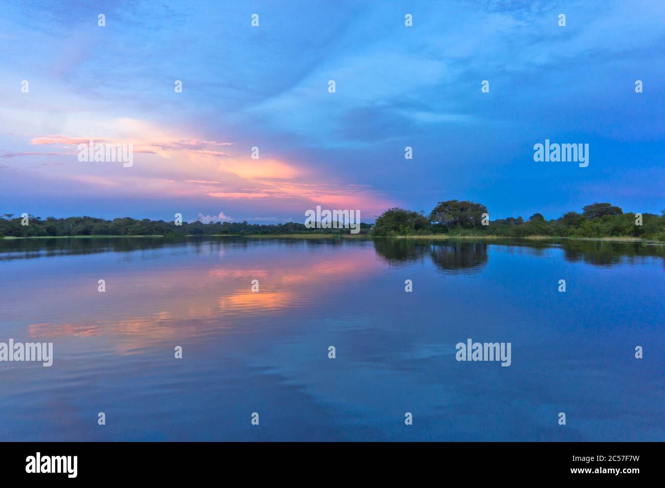 Jungle world hi-res stock photography and images - Alamy